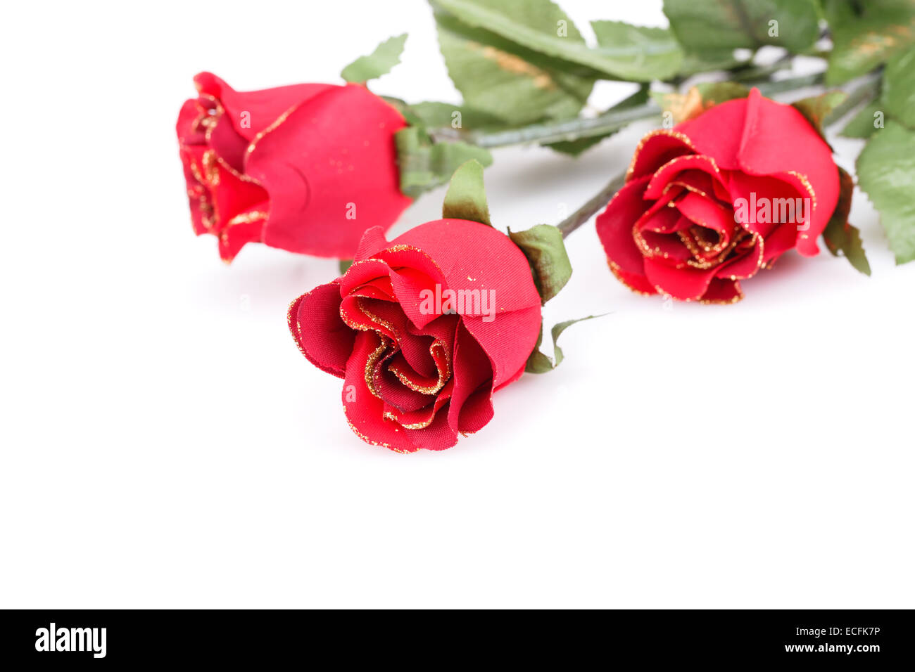 Red roses isolated on white background Stock Photo - Alamy