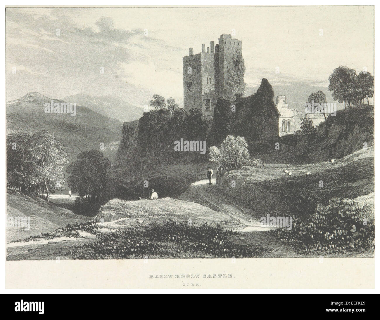 NEWENHAM(1830) p069 CORK - BALLYHOOLY CASTLE Stock Photo - Alamy