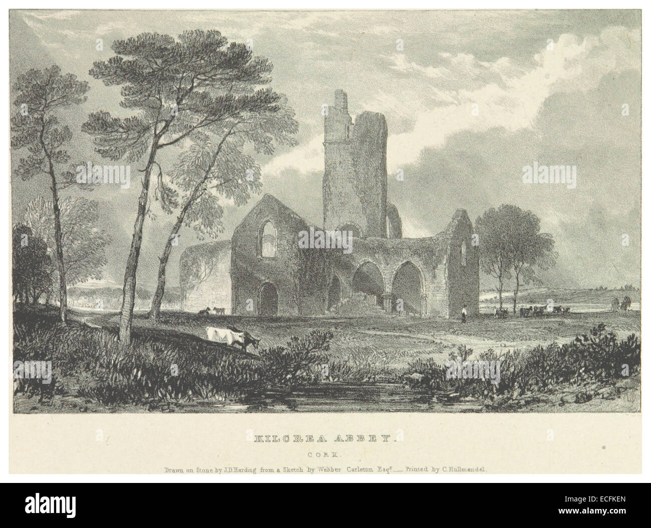 This illustration from 1830 by Newenham depicts Kilcrea Abbey in Cork ...