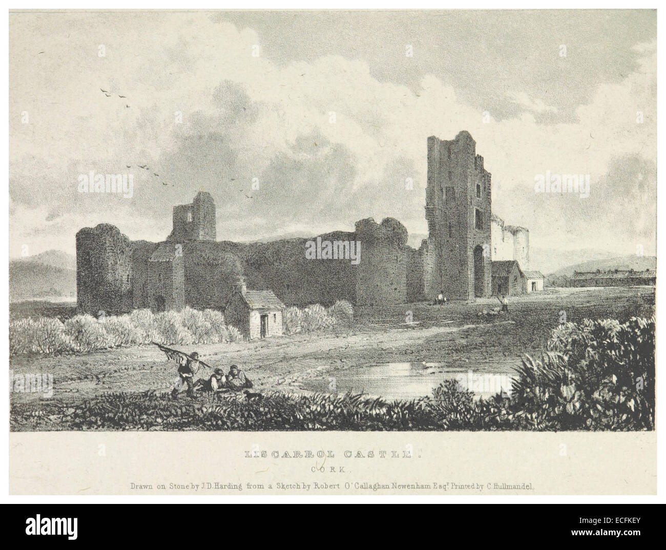 NEWENHAM(1830) p089 CORK - LISCAROL CASTLE Stock Photo - Alamy