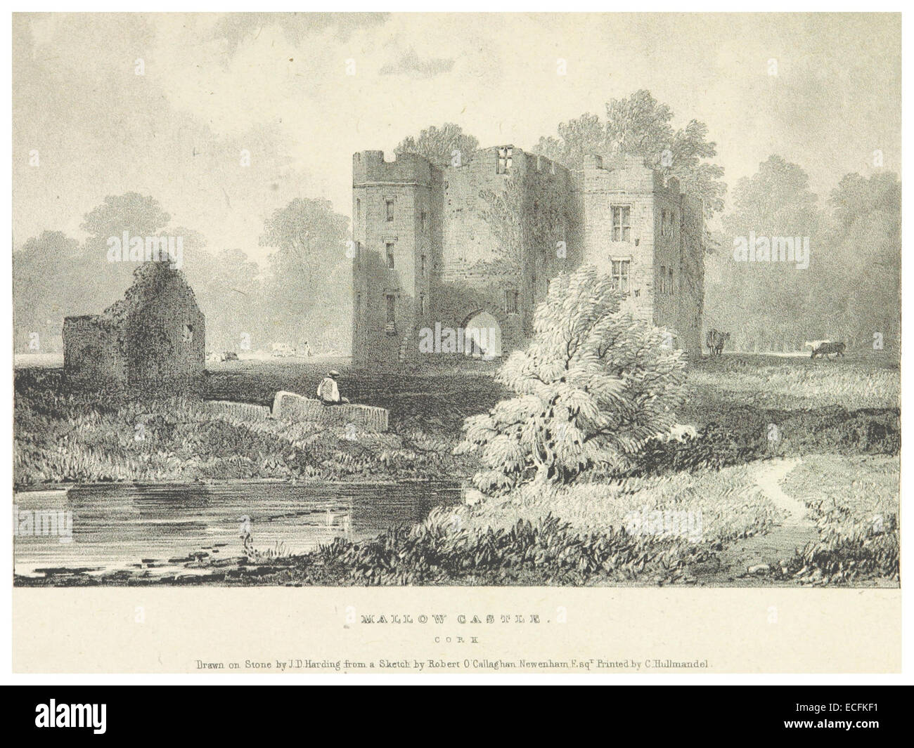 NEWENHAM(1830) p091 CORK - MALLOW CASTLE Stock Photo - Alamy