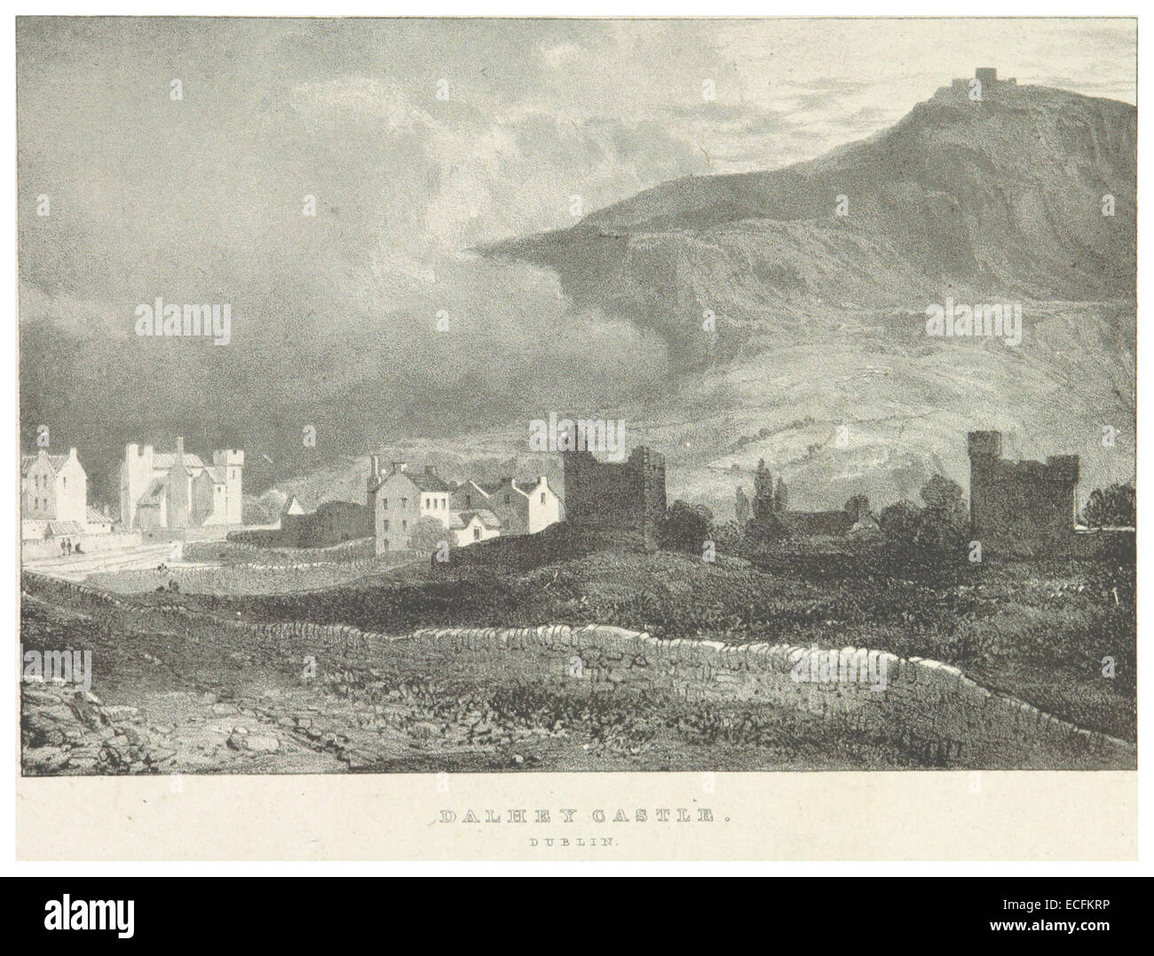 Newenham's 1830 work includes an illustration of Dahlhey Castle ...