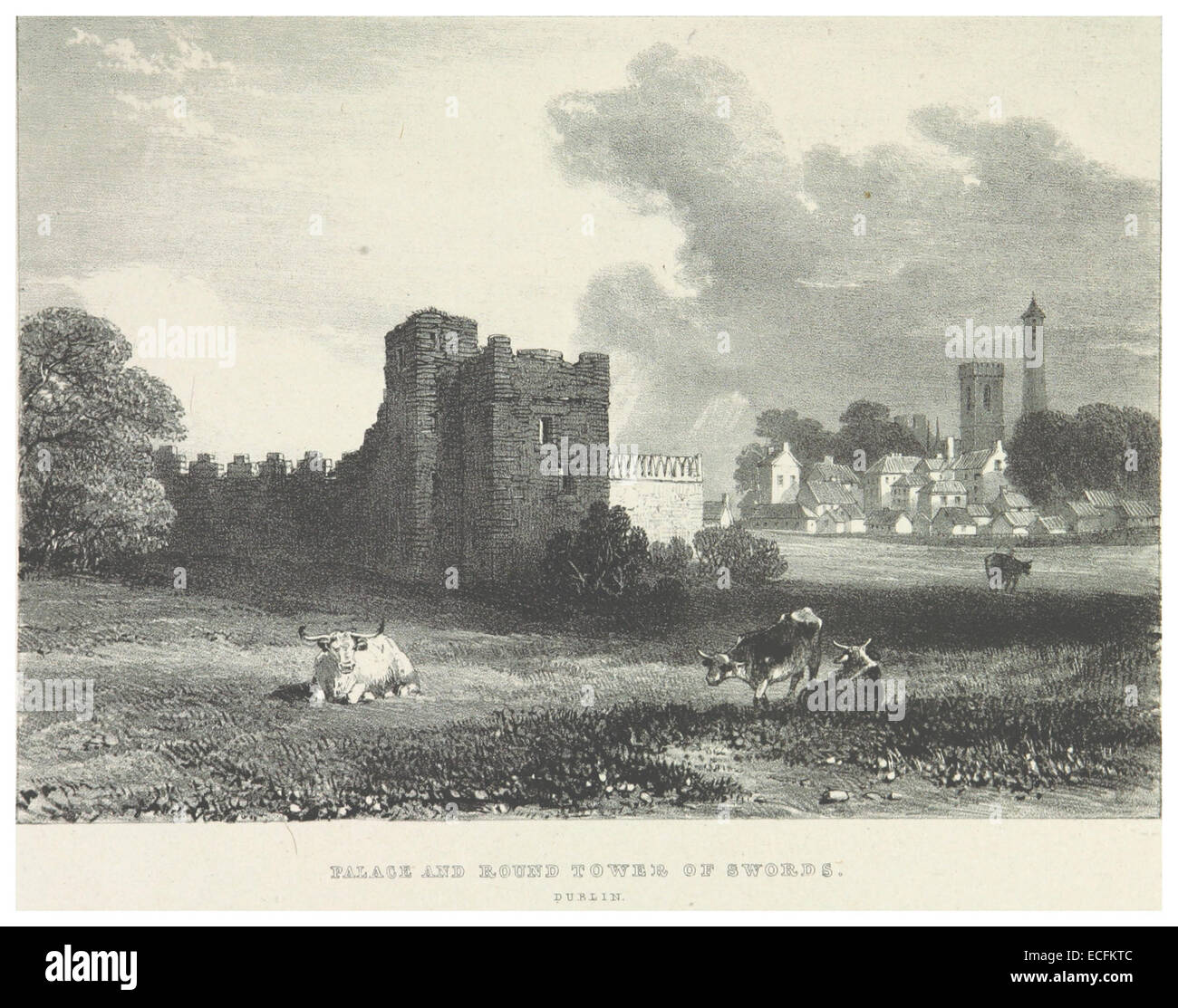 This 1830 illustration by Newenham depicts the Palace and Round Tower ...