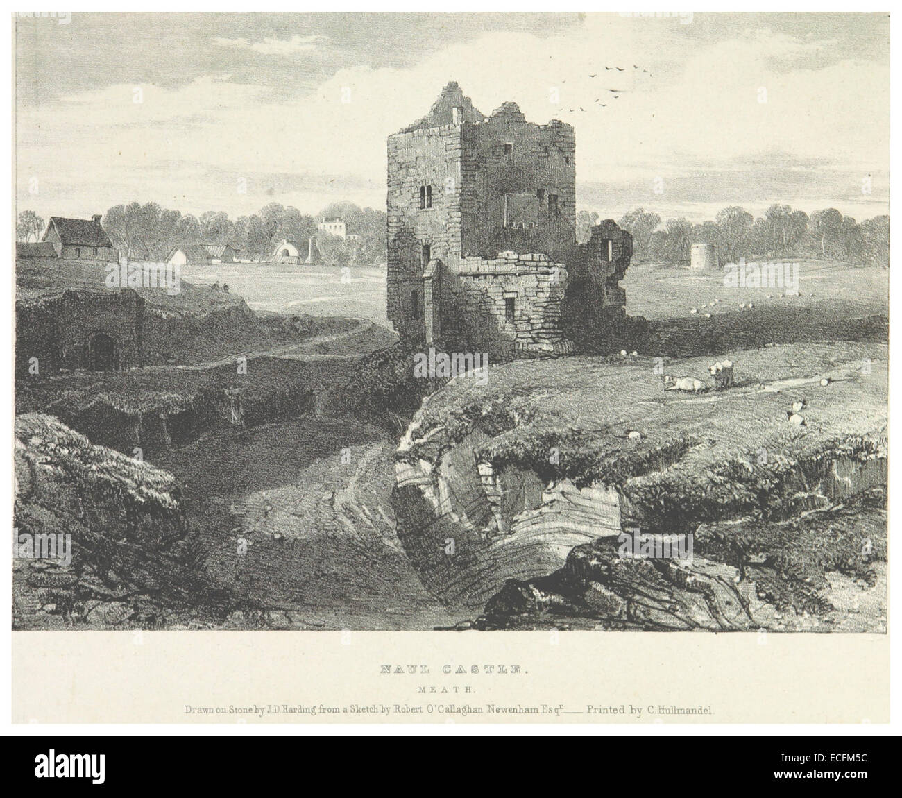 NEWENHAM(1830) p207 MEATH - NAUL CASTLE Stock Photo - Alamy