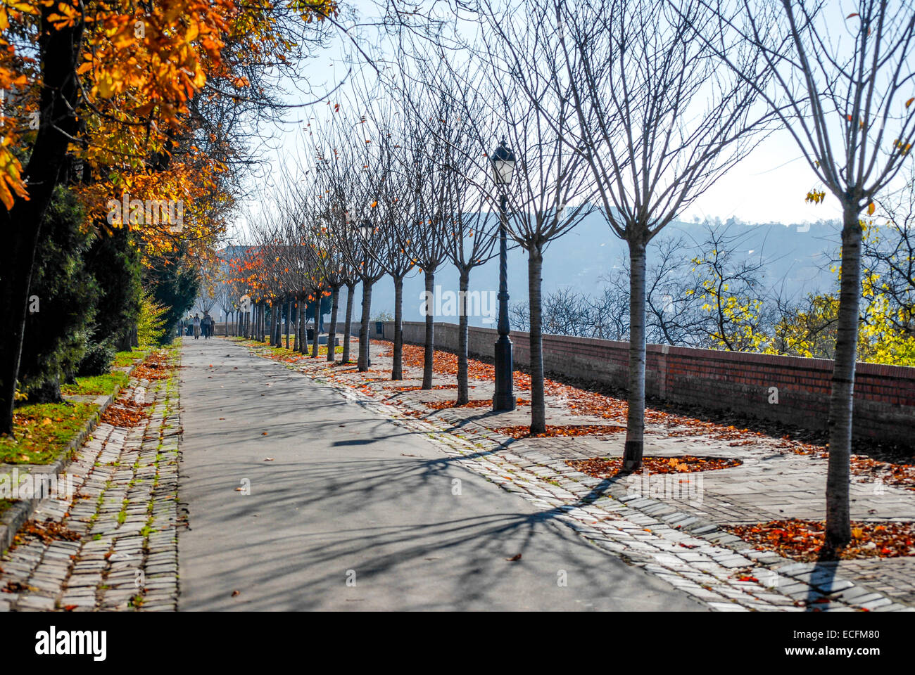 Pathway park hi-res stock photography and images - Alamy
