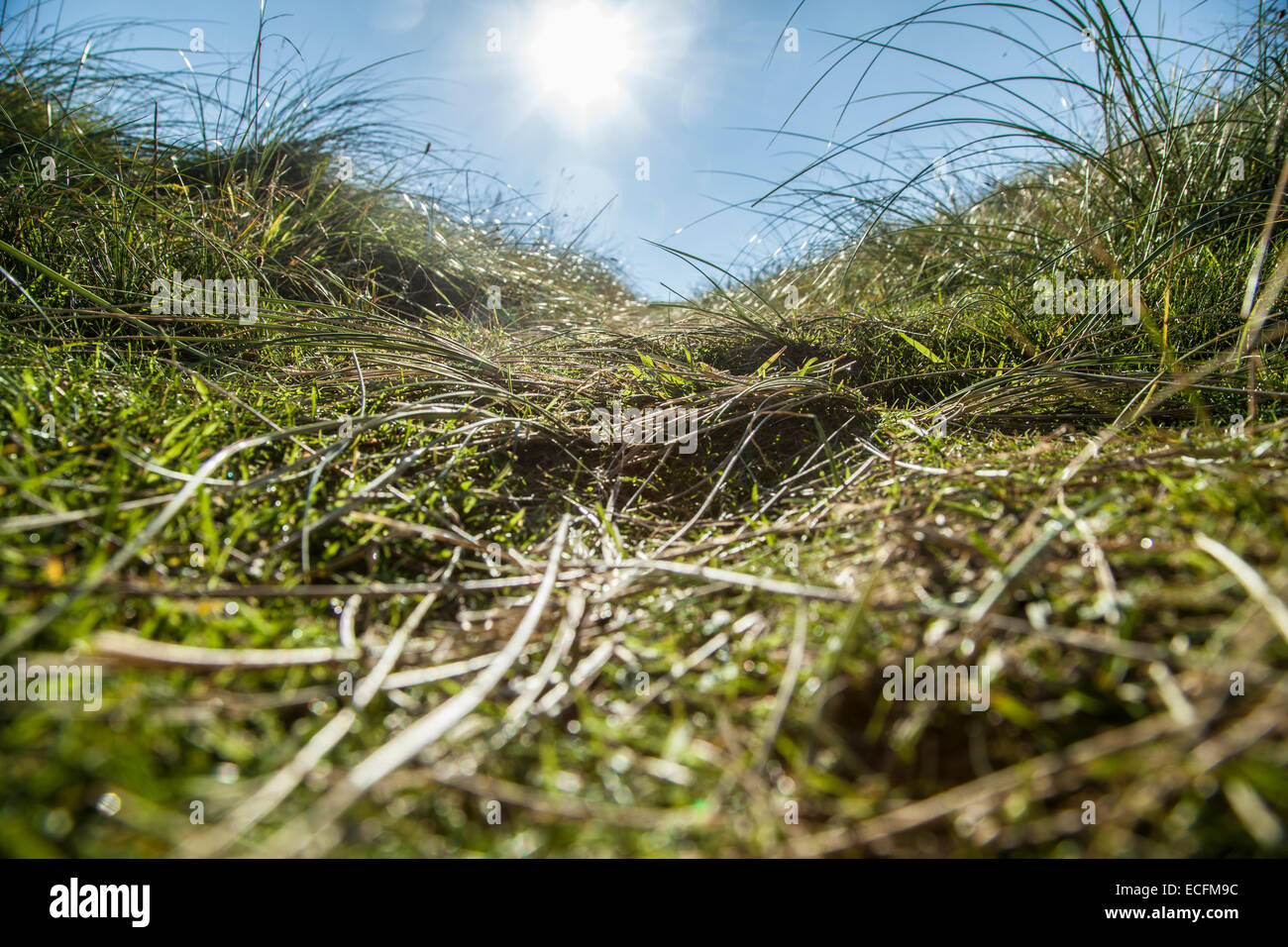 Ground level view hi-res stock photography and images - Alamy