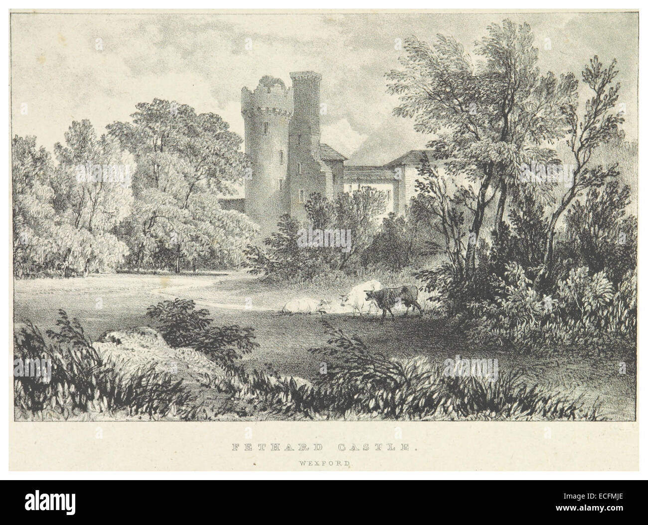 This illustration from 1830 by Newenham depicts Fethard Castle in ...