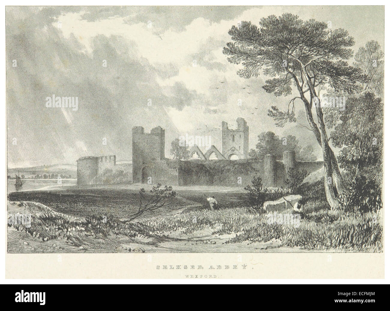 A 1830 depiction of Wexford's Selkser Abbey, an important historical ...