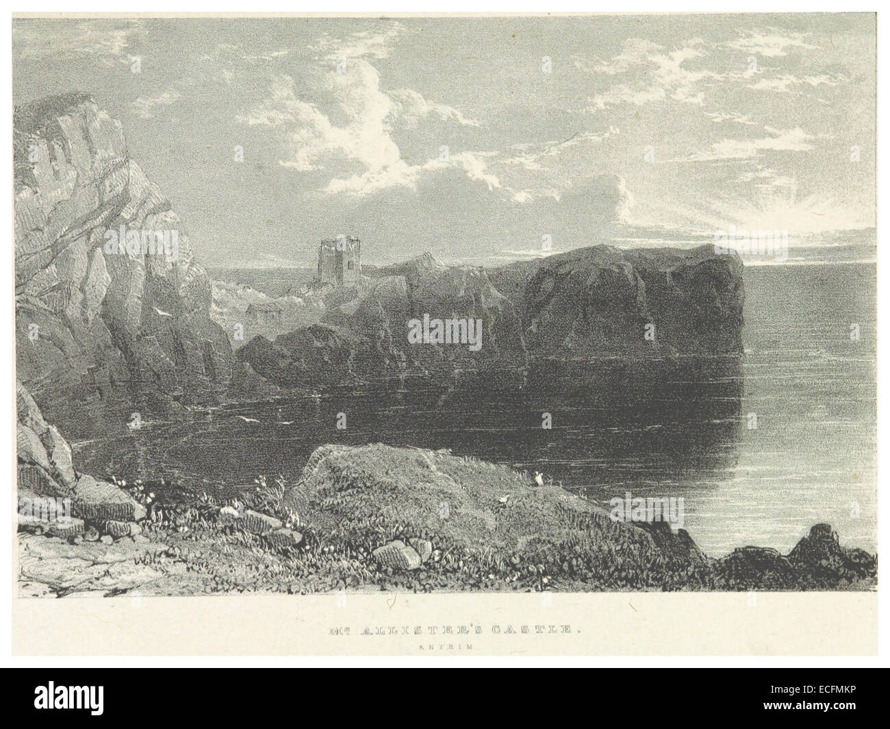 This 1830 illustration by Newenham portrays McAllister’s Castle in ...