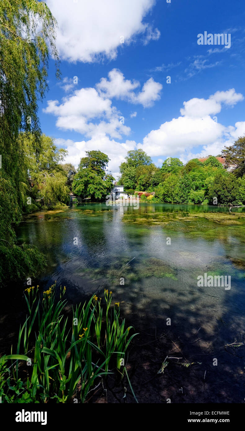 Lake gardens and isle of wight hi-res stock photography and images - Alamy