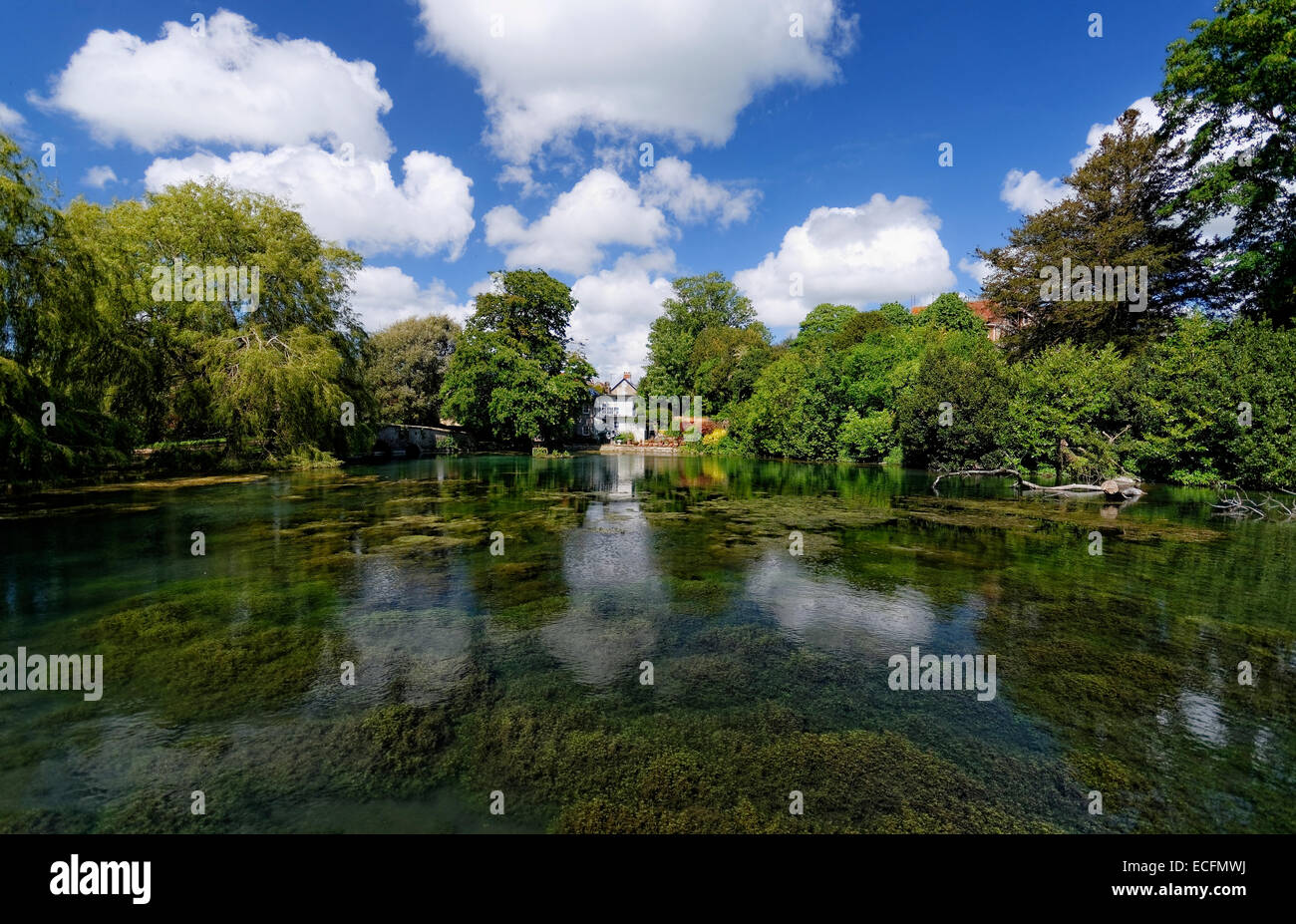A small lake reflects the cumulous clouds over Westbourne House ...