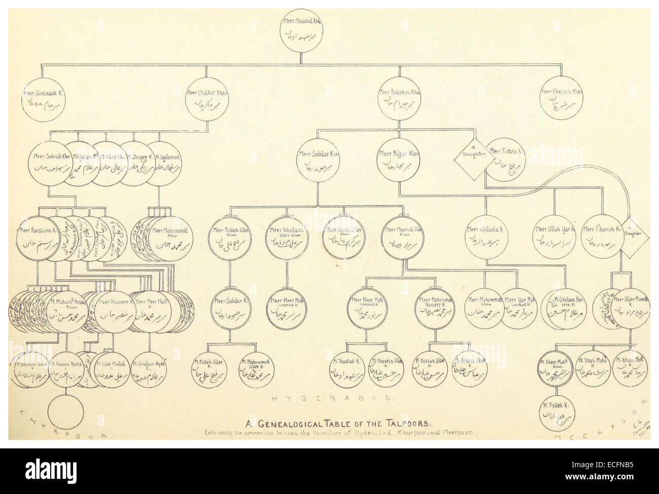 Page 111 of 'Oriental Heads' contains a genealogical table of the ...