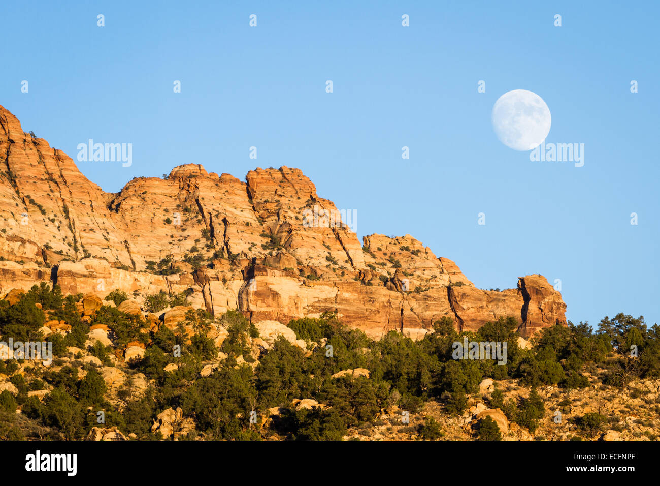 large almost full moon rising over Zion National Park in southwestern ...