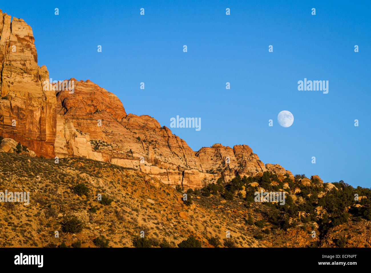 large almost full moon rising over Zion National Park in southwestern ...