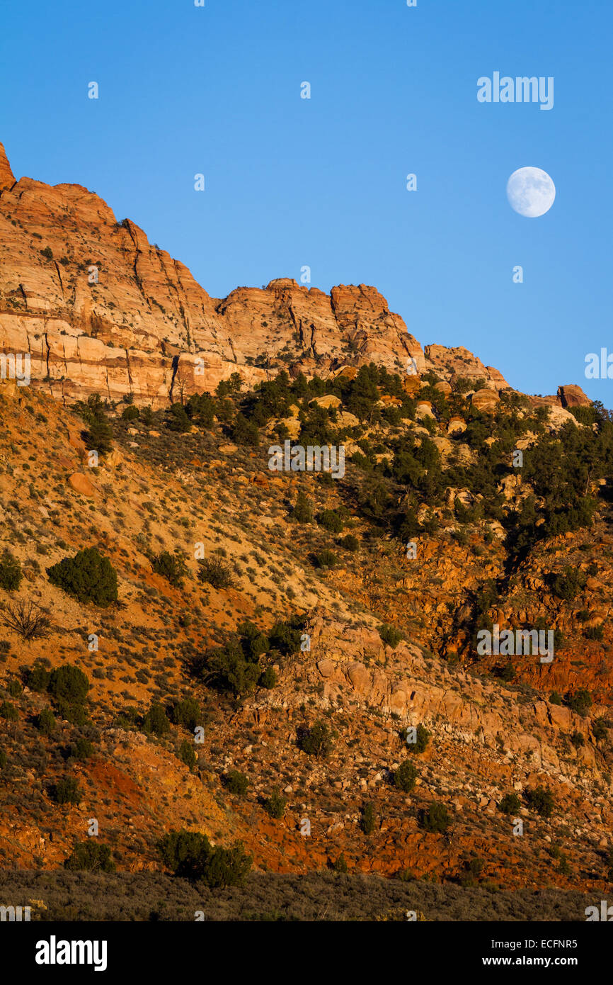 large almost full moon rising over Zion National Park in southwestern ...