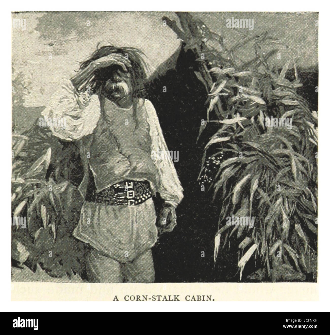 Old corn Cut Out Stock Images & Pictures - Alamy