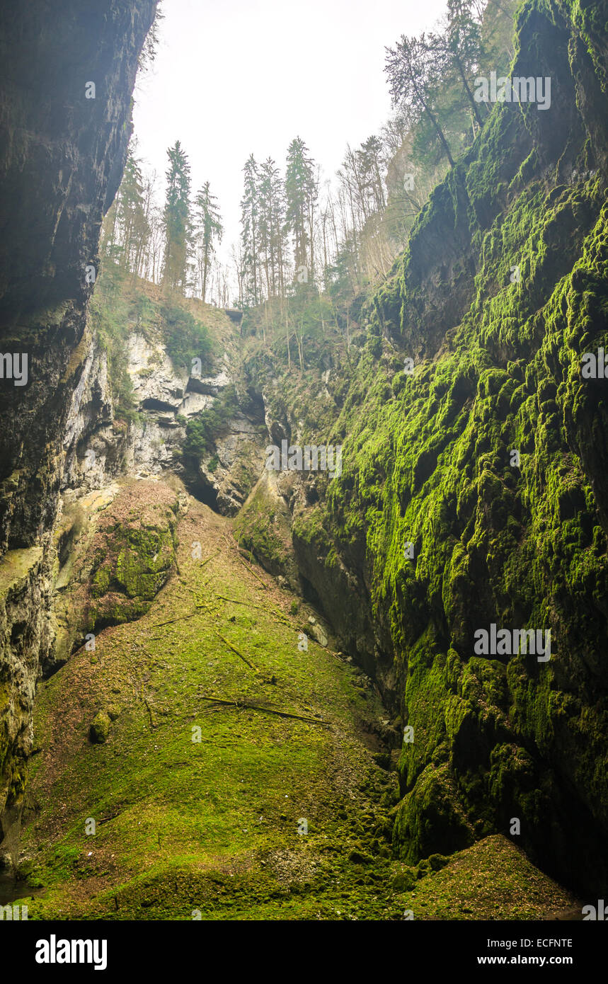 Macocha gorge hi-res stock photography and images - Alamy
