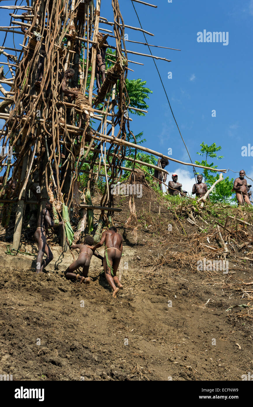 Land diving vanuatu hi-res stock photography and images - Alamy