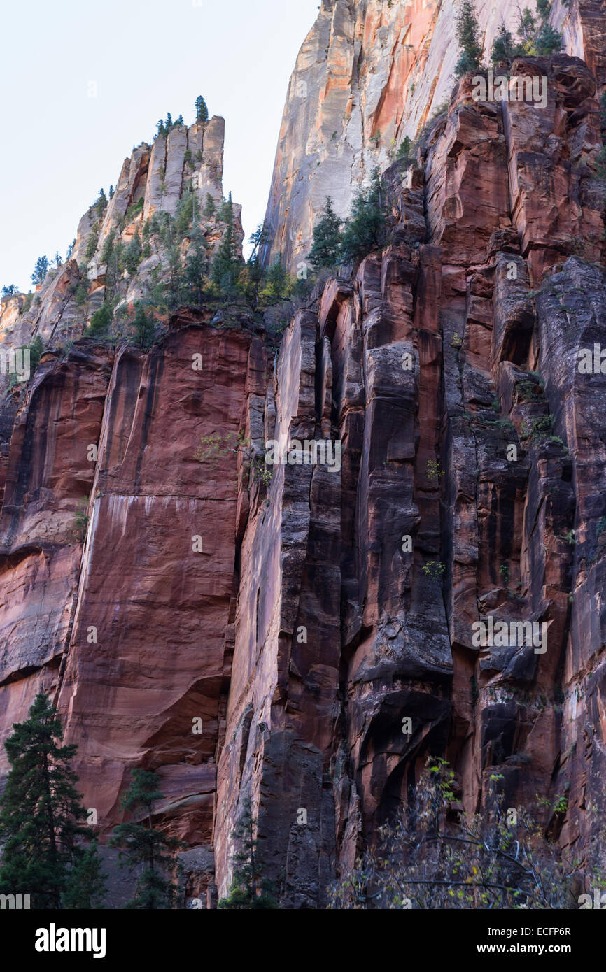 beautiful landscape in Zion National Park with vivid red sandstone ...