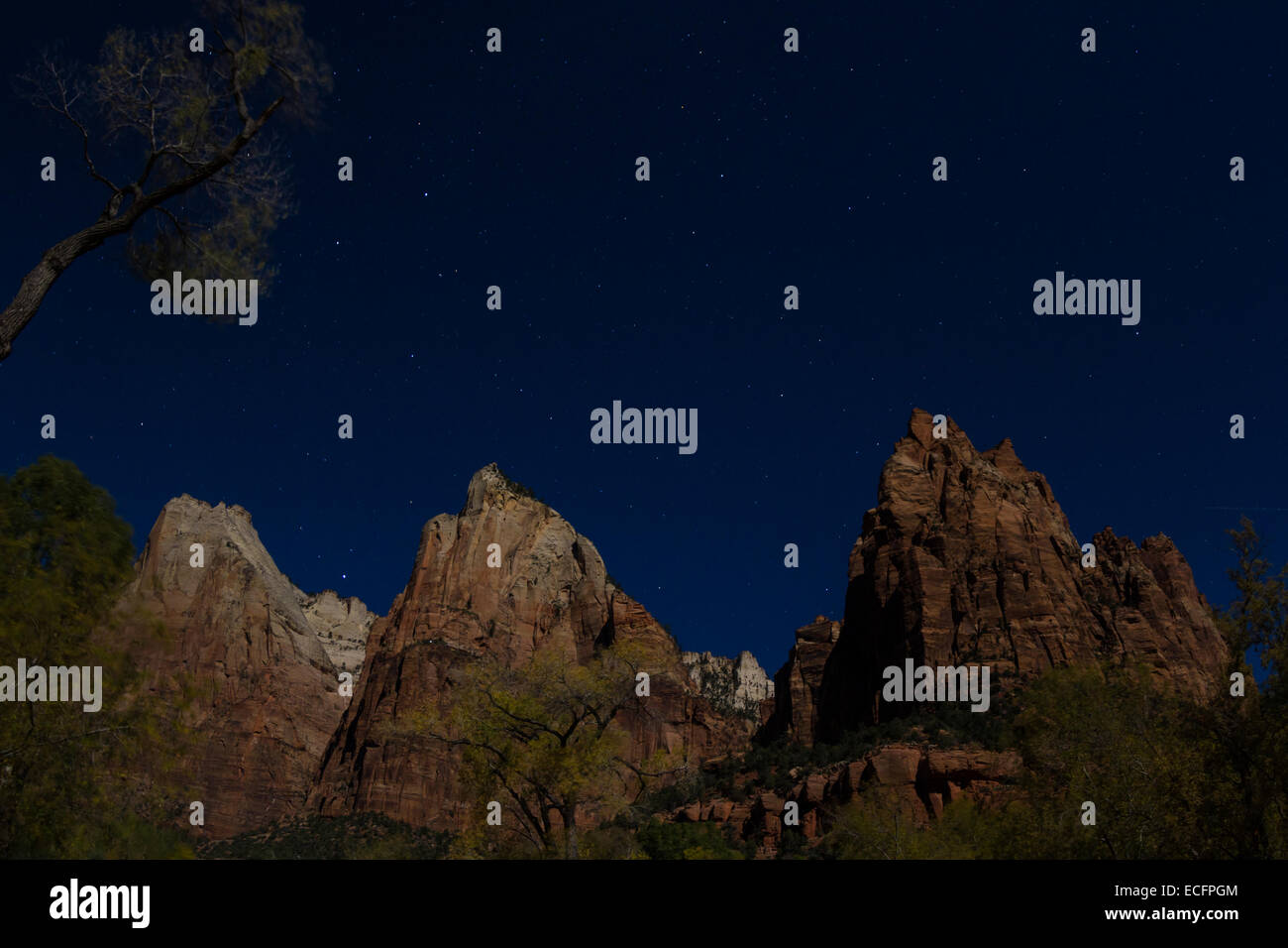 night time landscape at Zion national park with moon light on the ...