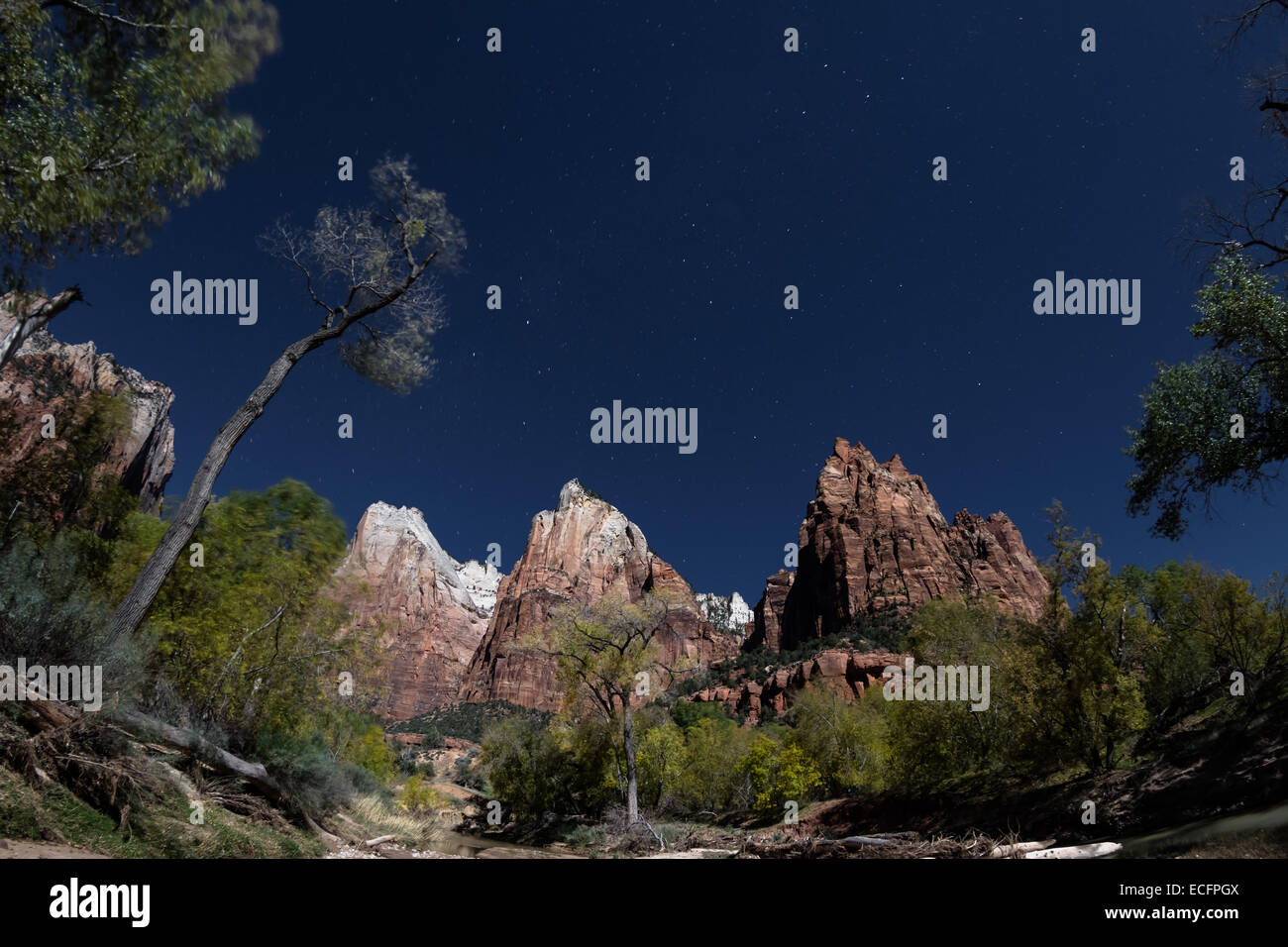 night time landscape at Zion national park with moon light on the ...