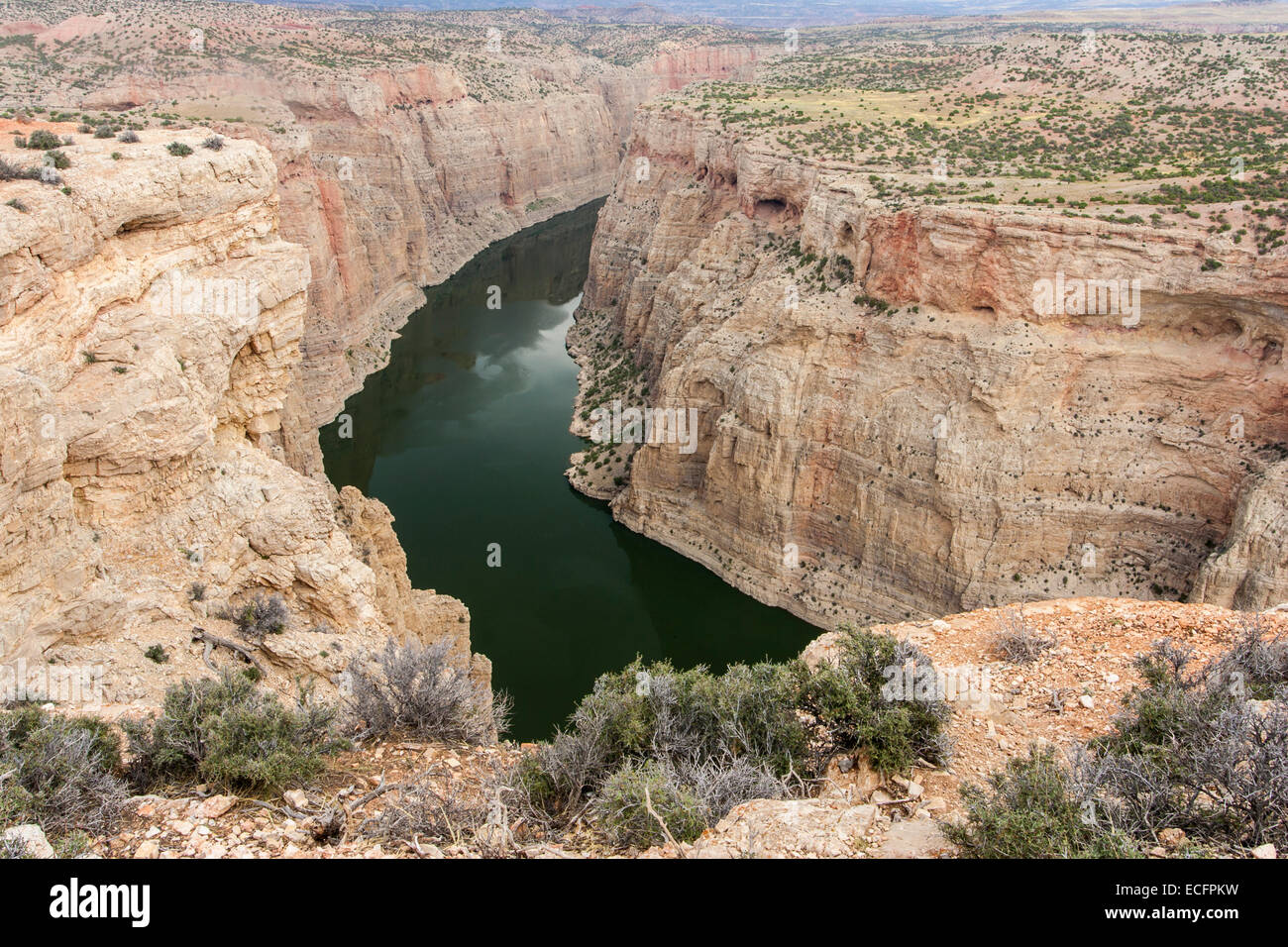 Yellowtail dam hi-res stock photography and images - Alamy