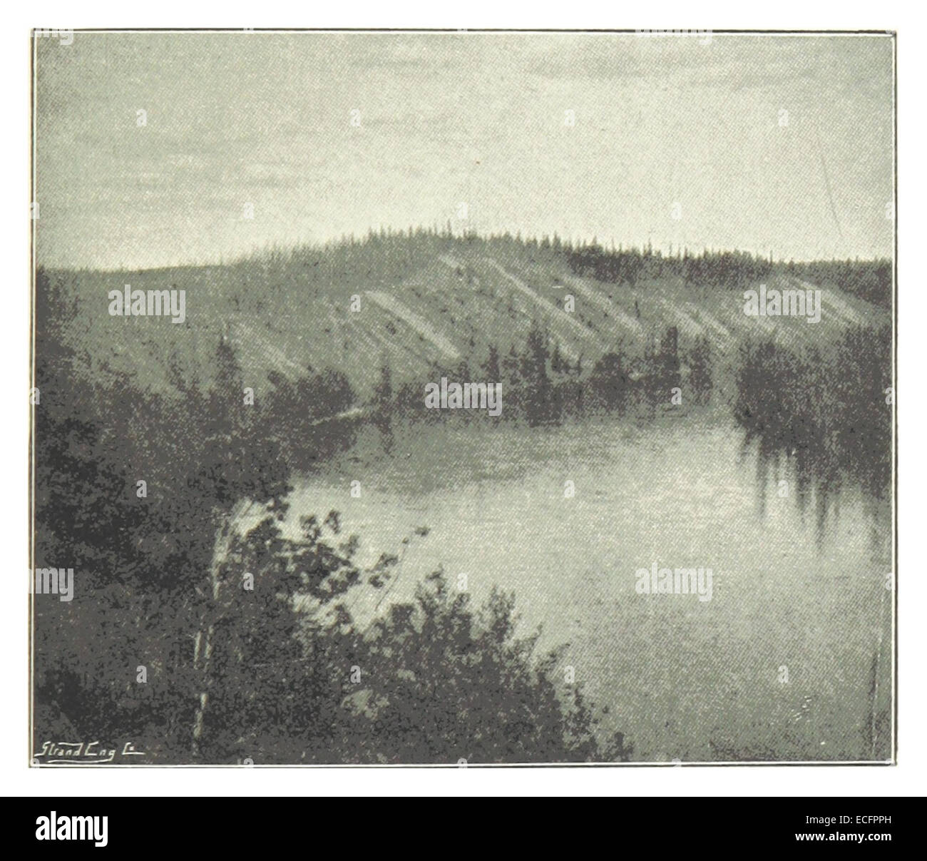 Rivers environment Cut Out Stock Images & Pictures - Alamy