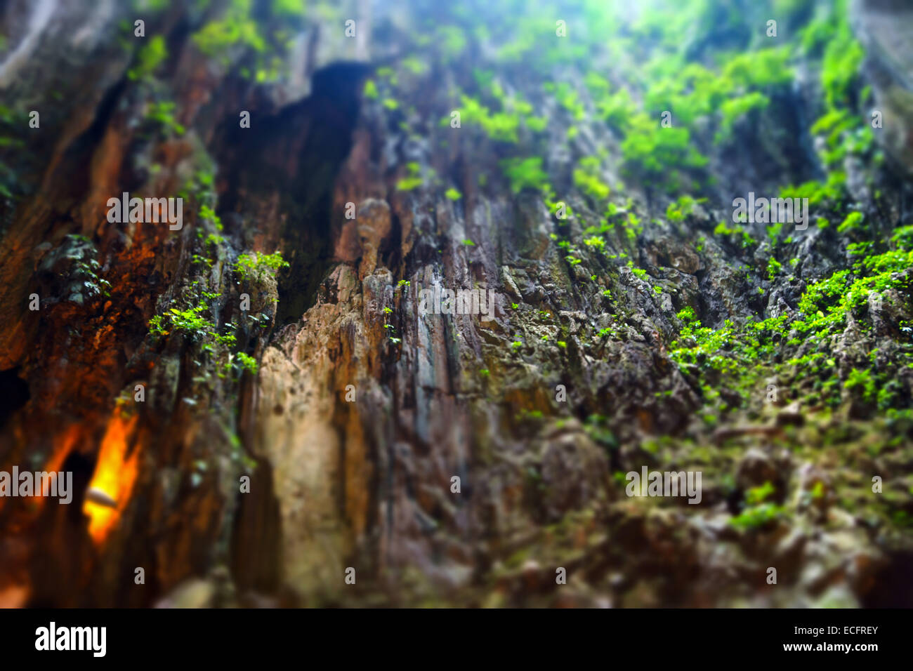 looking up a mountain, batu temple, batu caves Stock Photo - Alamy