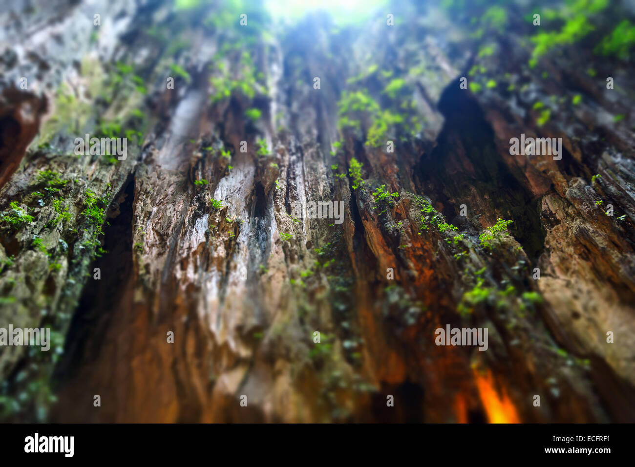 looking up a mountain, batu temple, batu caves Stock Photo - Alamy