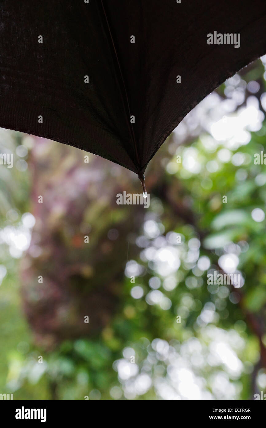 Rainwater falling hi-res stock photography and images - Alamy