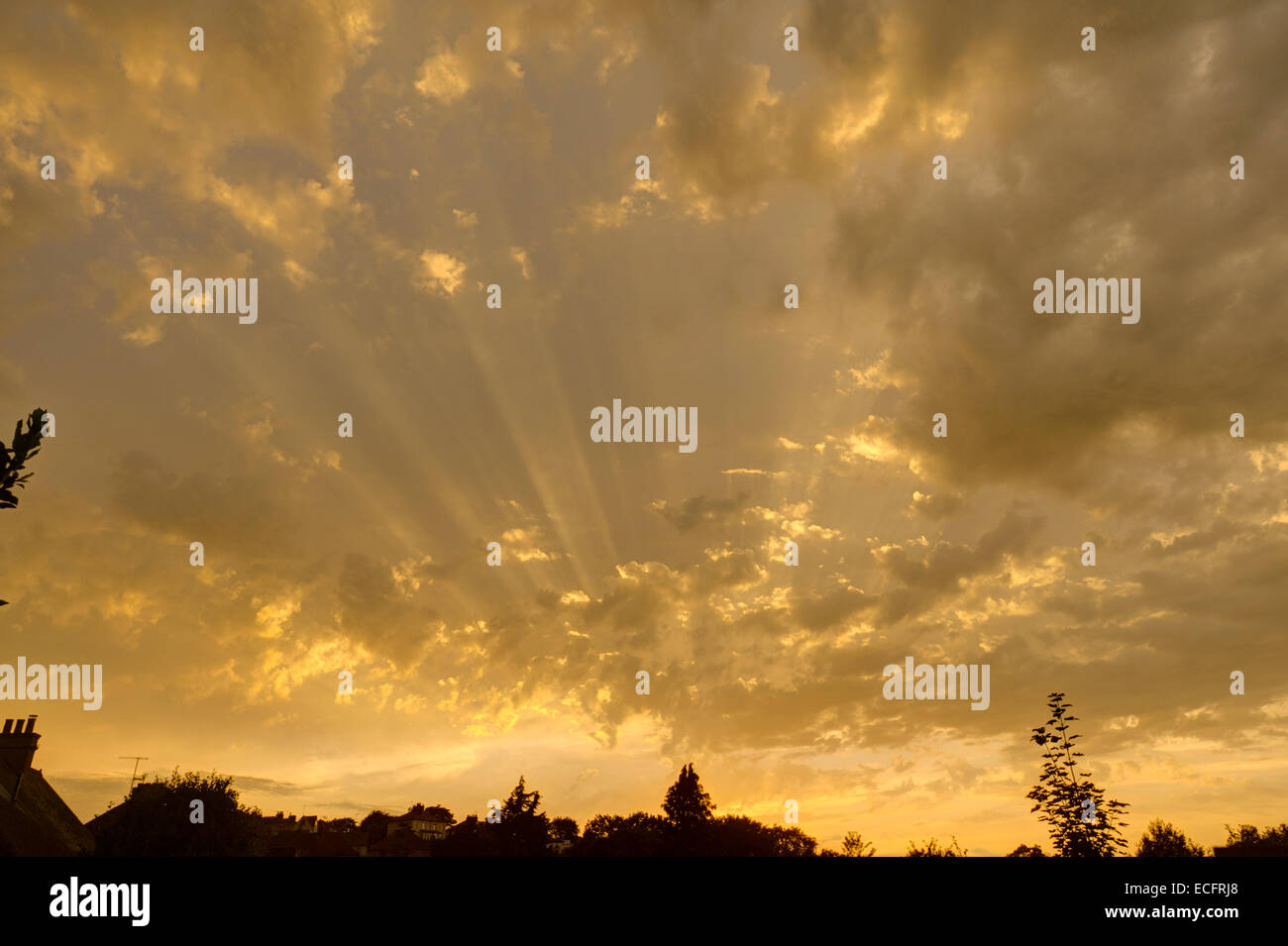 Golden light of late day hi-res stock photography and images - Alamy
