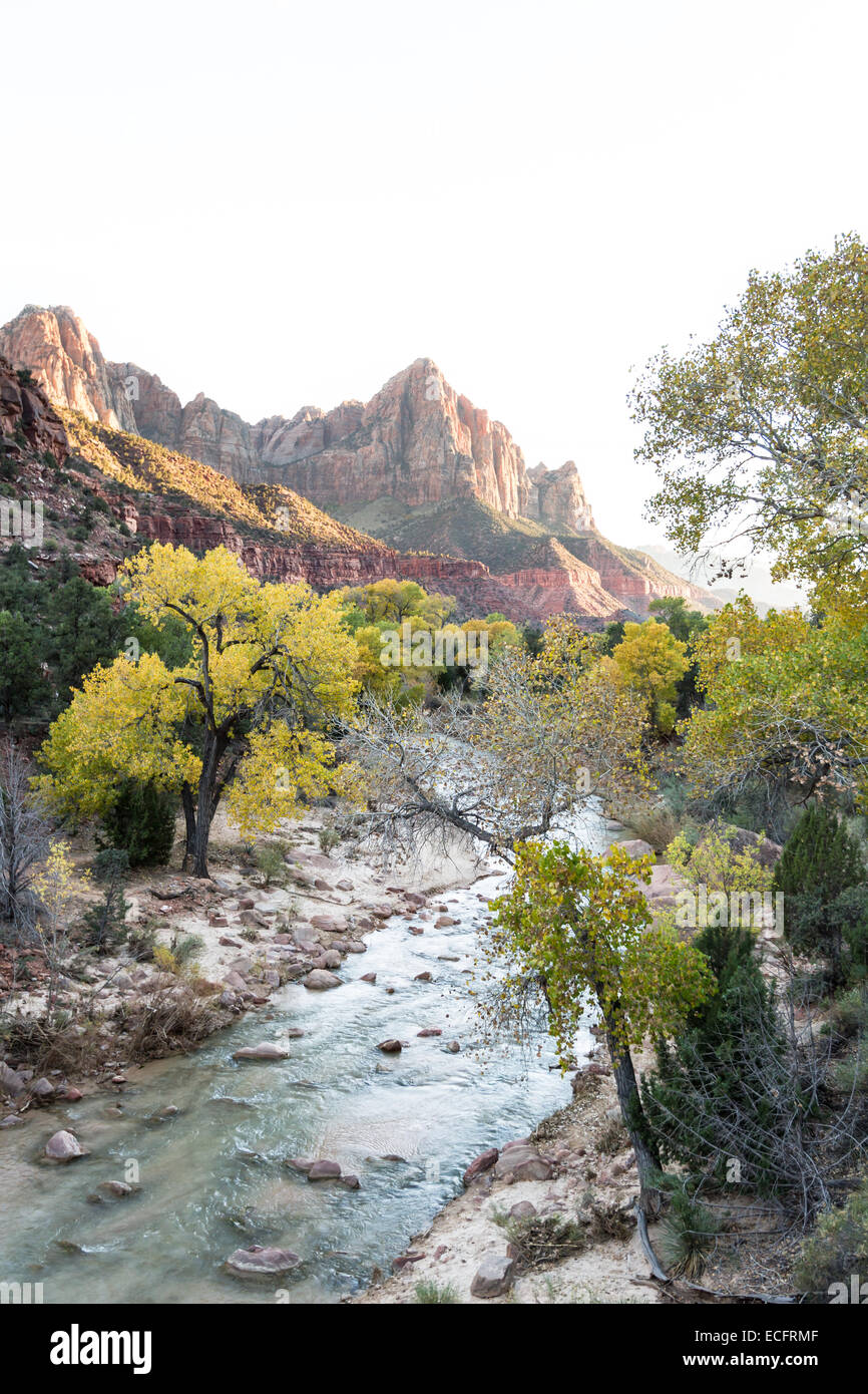 autumn view of the watchman tower and the virgin river in Zion National ...