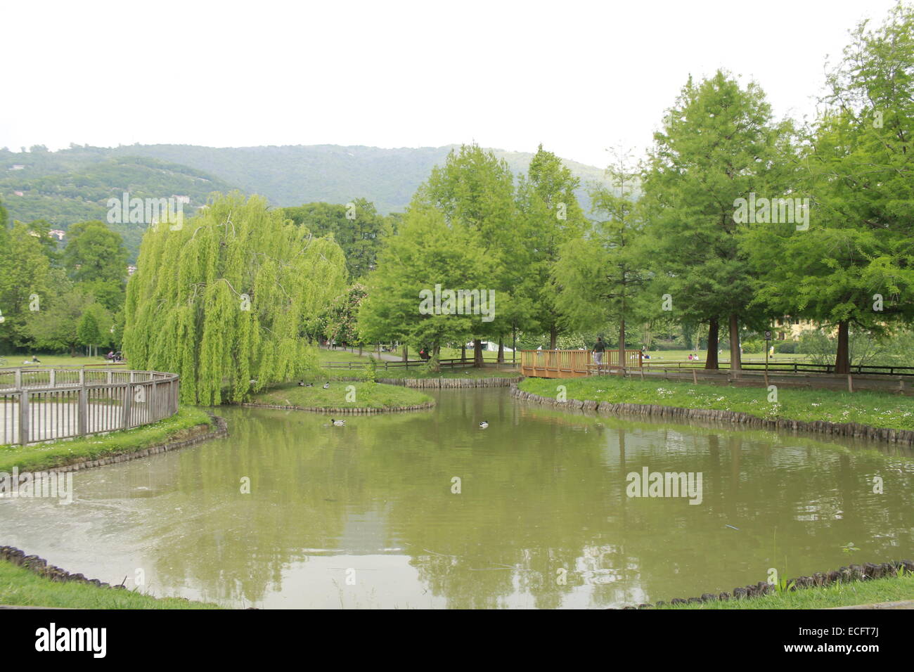 pond in Italy Stock Photo - Alamy