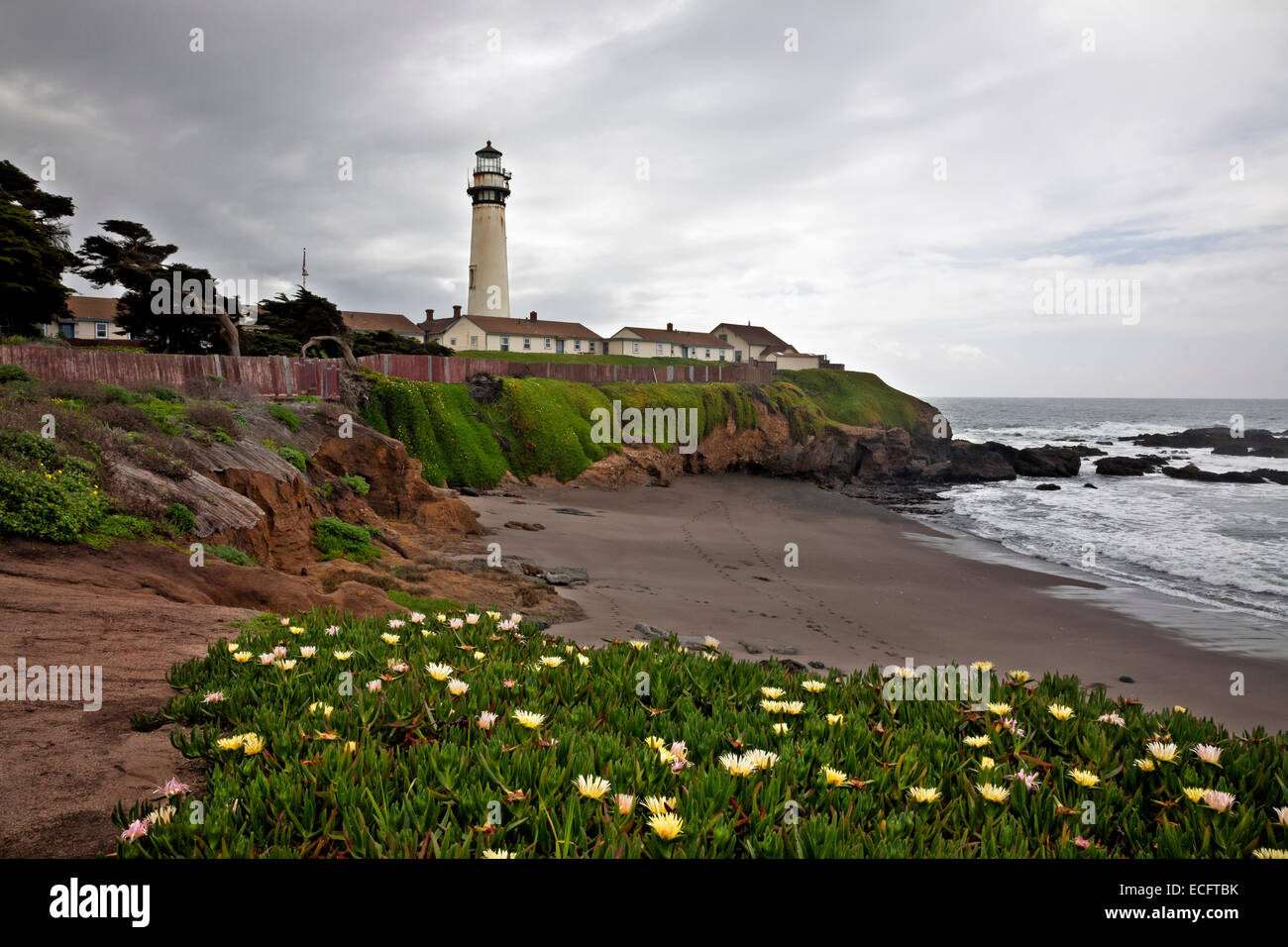 Pigeon Point Lighthouse High Resolution Stock Photography and Images ...