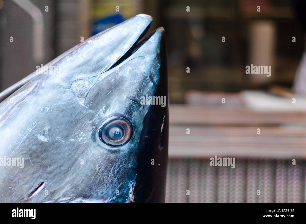 Tuna fish cutted head on a desk market in tokyo, japan Stock Photo - Alamy