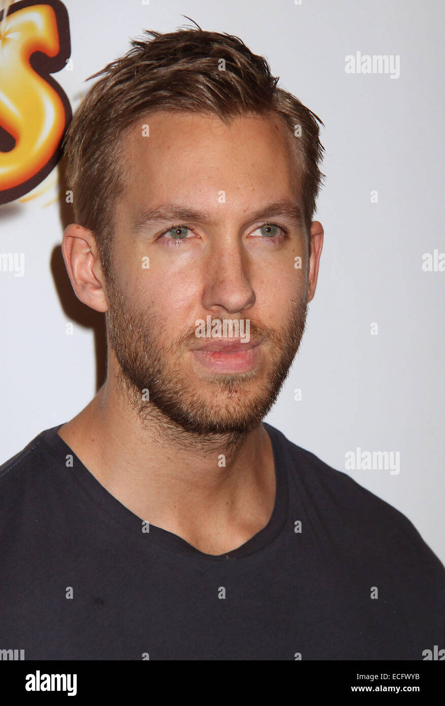 New York, New York, USA. 12th Dec, 2014. Singer CALVIN HARRIS attends ...