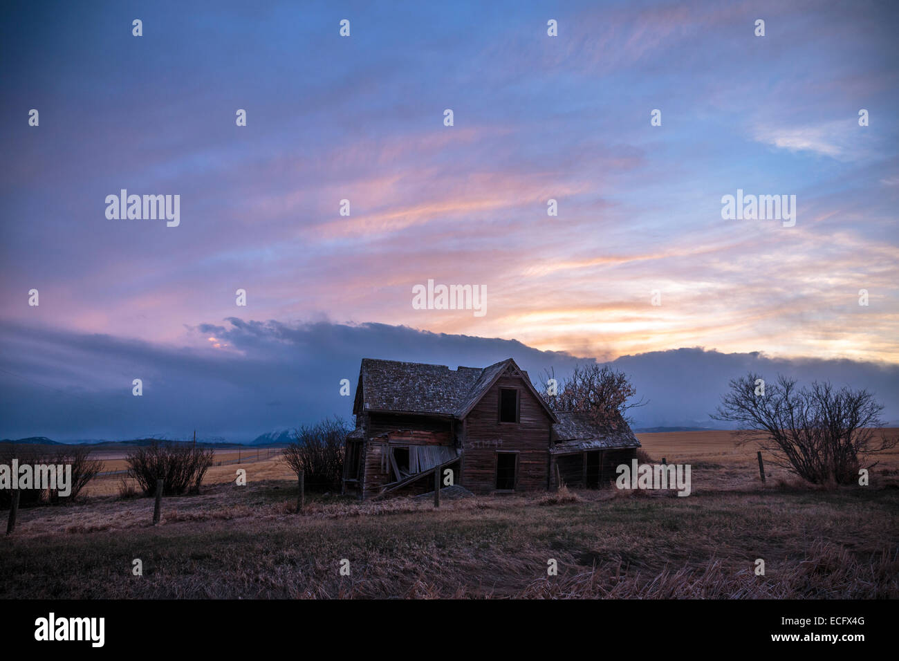 A rundown old farmhouse on the Southern Alberta prairies near Cowley. A ...