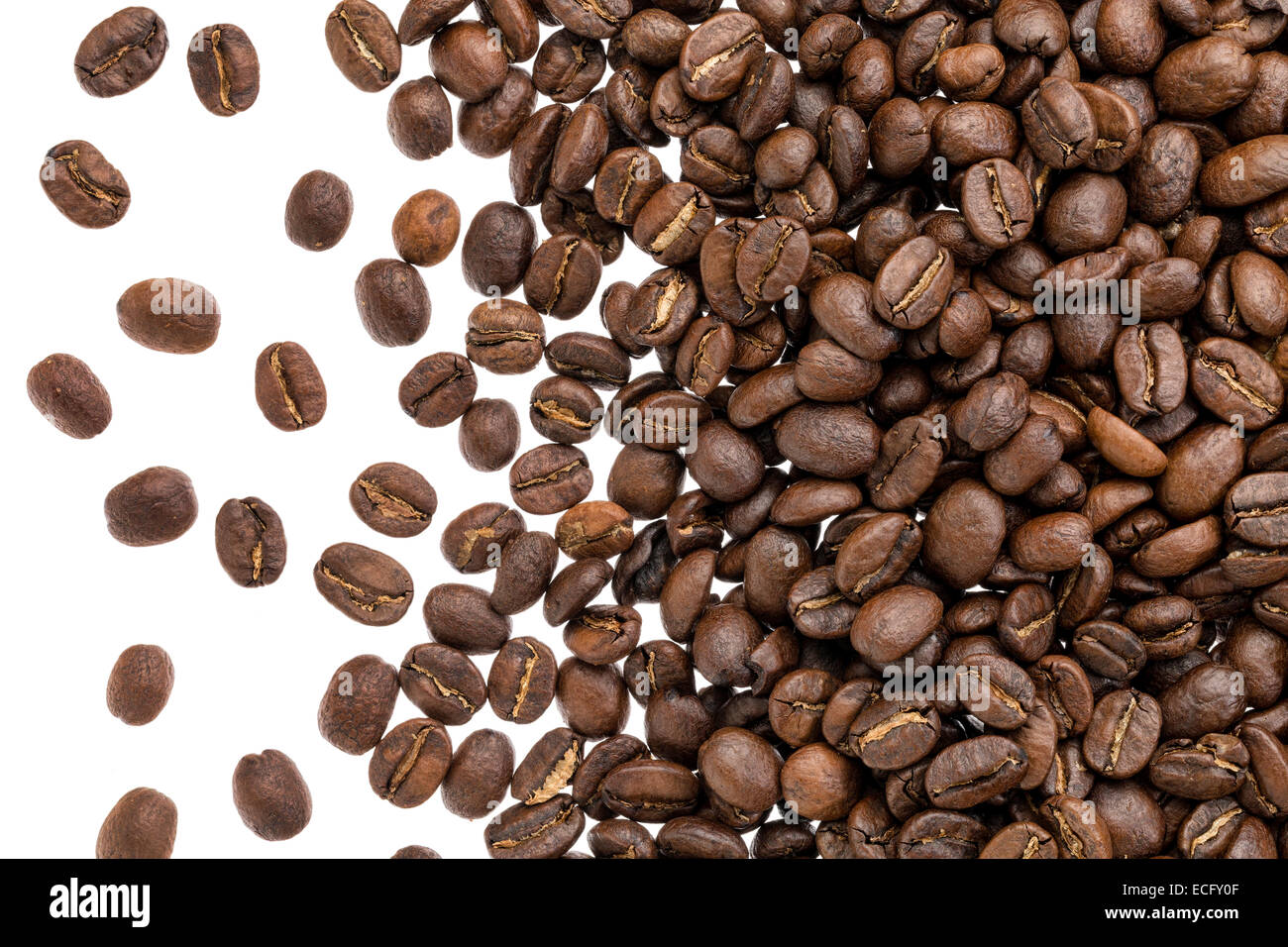 roasted coffee beans in shells against white background Stock Photo - Alamy
