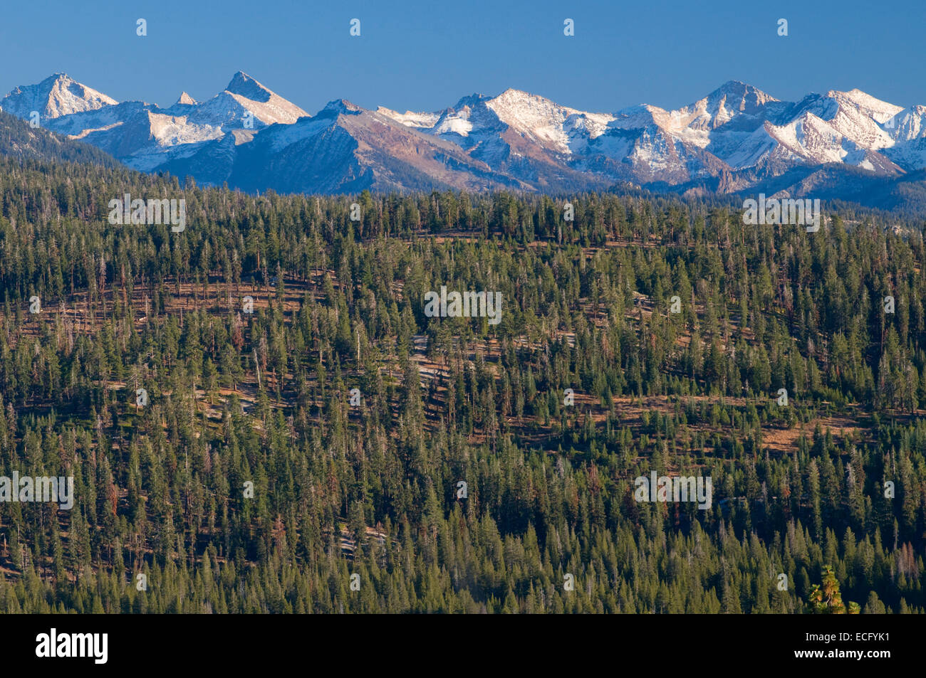 High rock lookout hi-res stock photography and images - Alamy