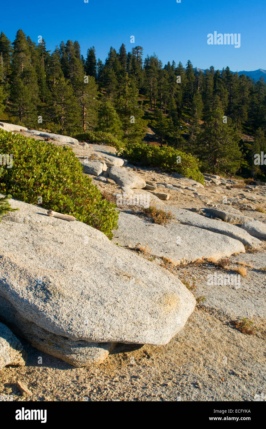 Granite dome on ridge at Buck Rock Lookout, Sequoia National Monument ...