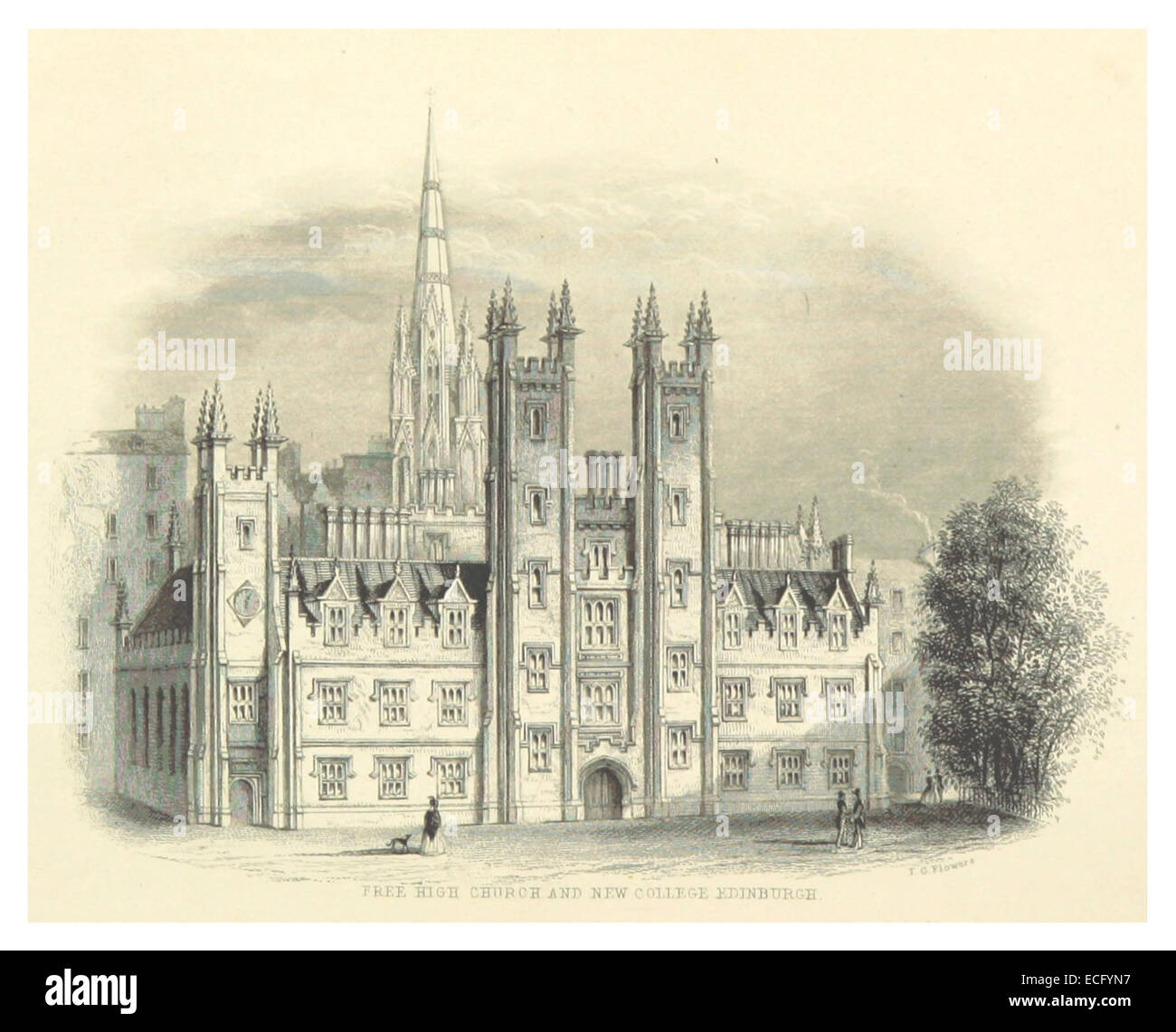 This 1855 illustration by Stevenson depicts the Free High Church and ...