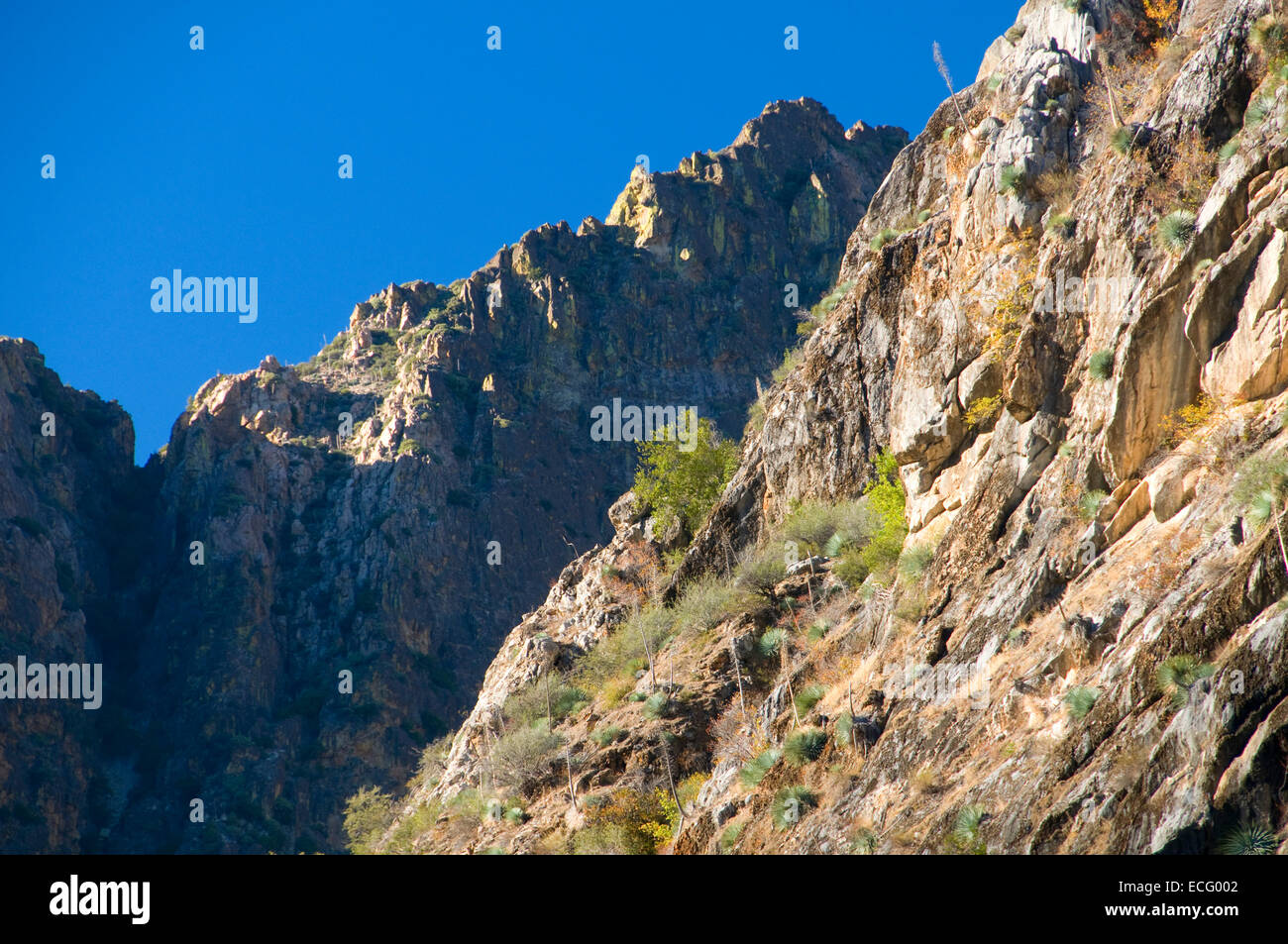 Kings river california hi-res stock photography and images - Alamy