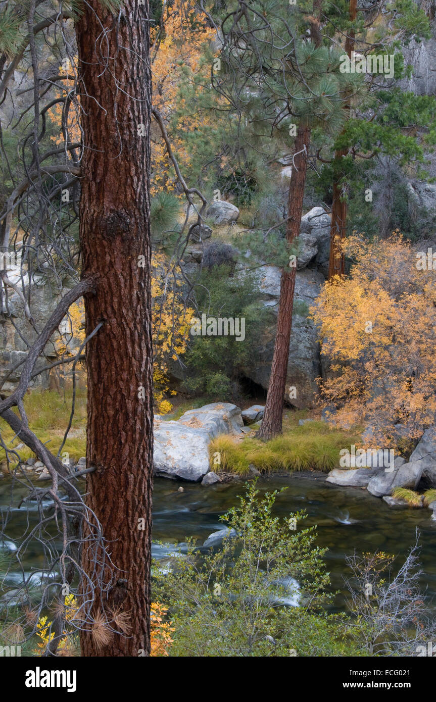 Kern River Canyon High Resolution Stock Photography and Images - Alamy