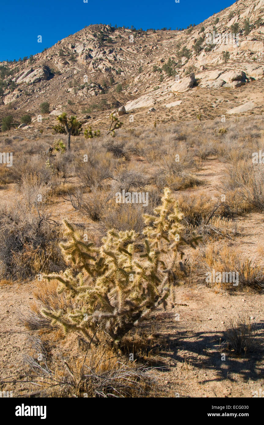 Desert mountain, Domeland Wilderness, Chimney Peak National Backcountry ...