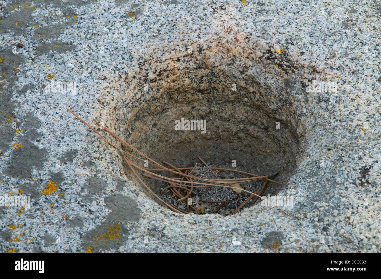 Metate, Domeland Wilderness, Chimney Peak National Backcountry Byway ...