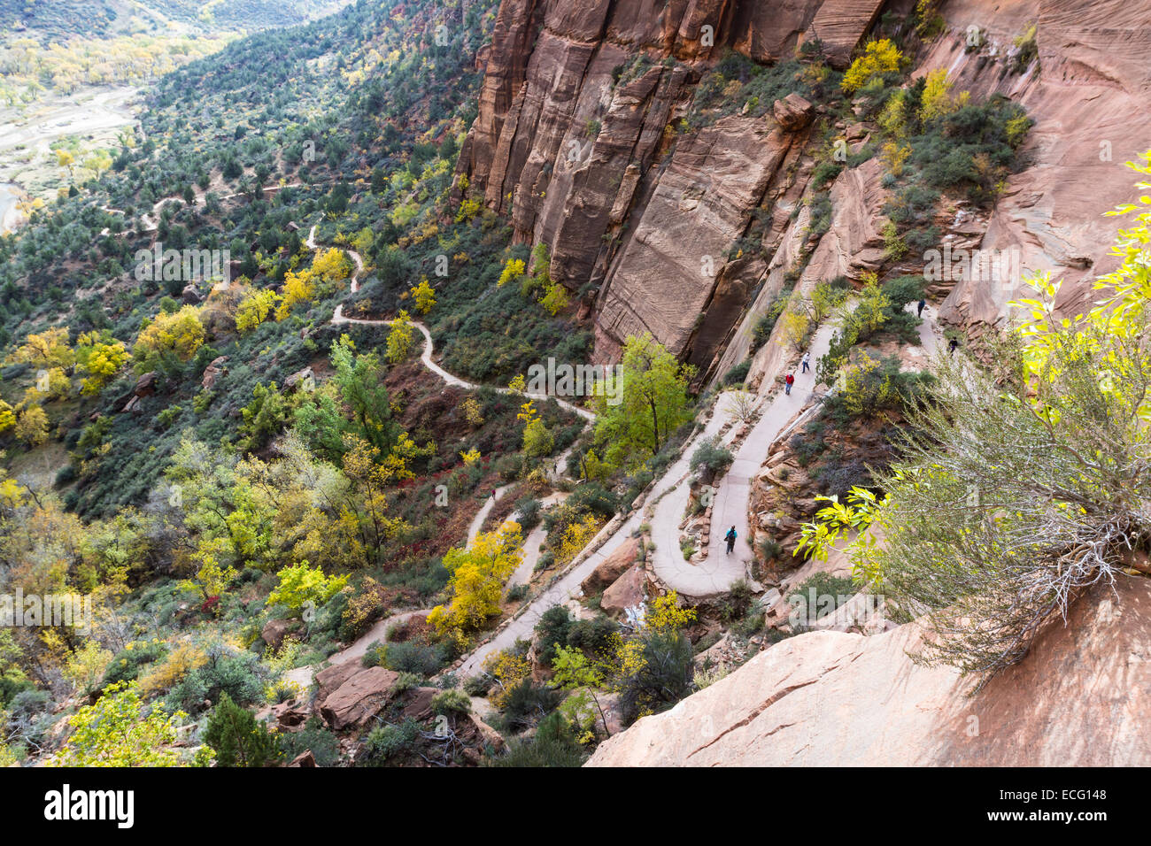 switchback trail in the Angels Landing hike at Zion National Park with ...