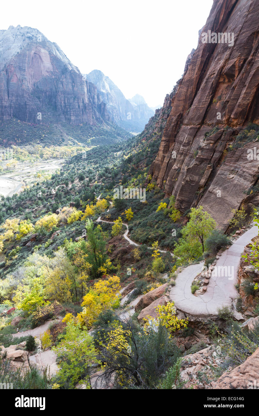 switchback trail in the Angels Landing hike at Zion National Park with ...