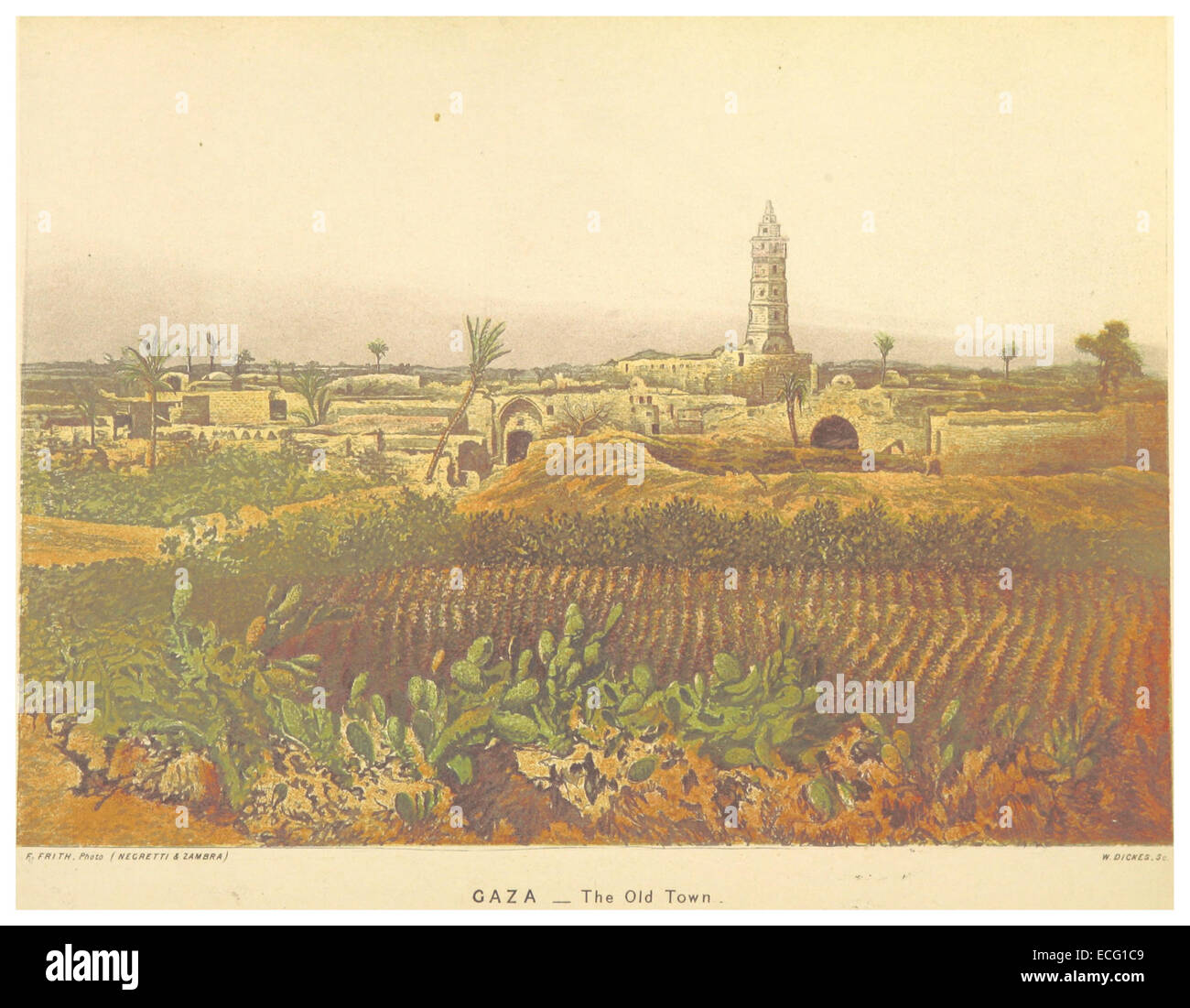 The history of gaza hi-res stock photography and images - Alamy