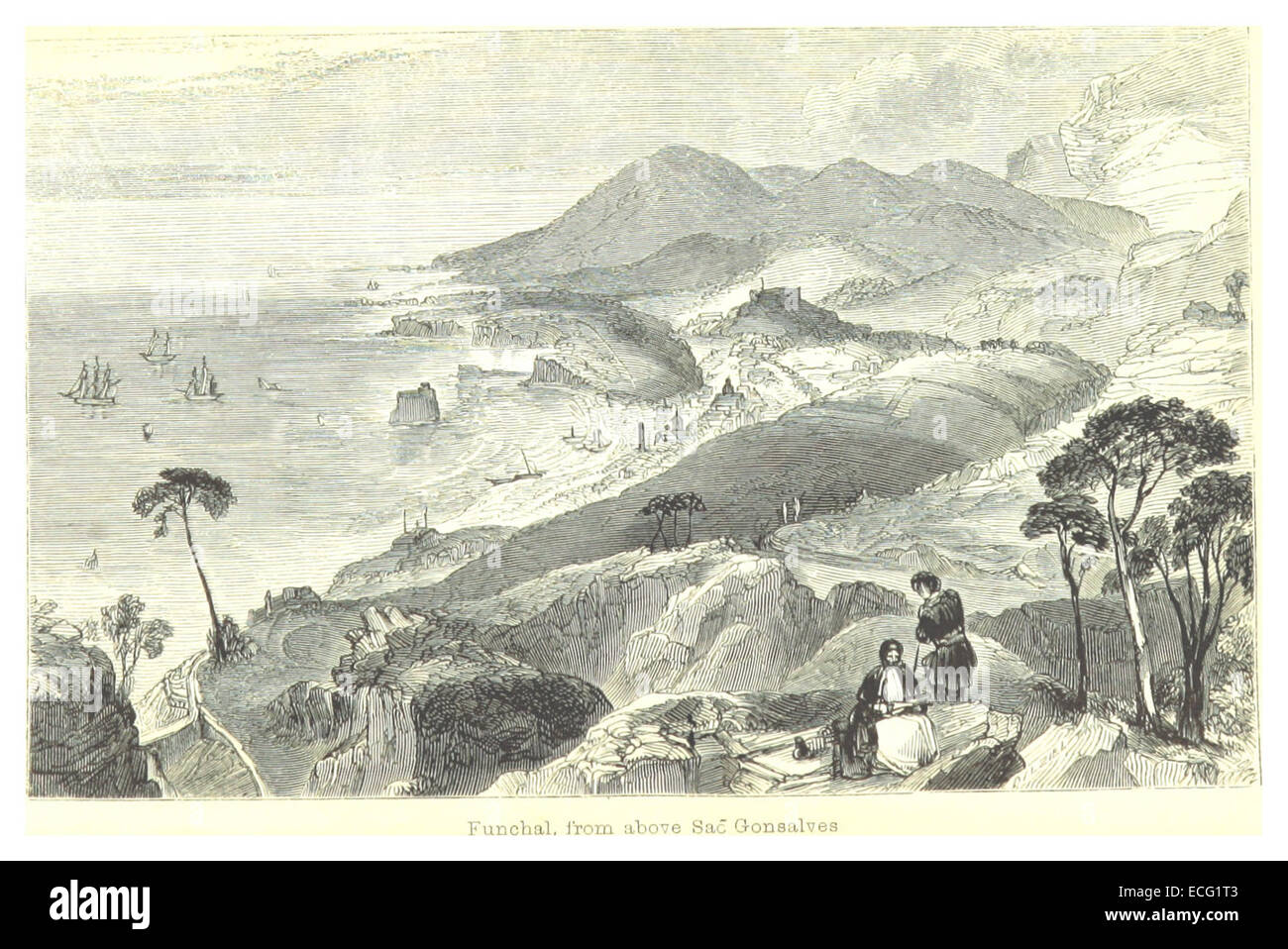 Bay of the city of funchal madeira funchal hi-res stock photography and ...