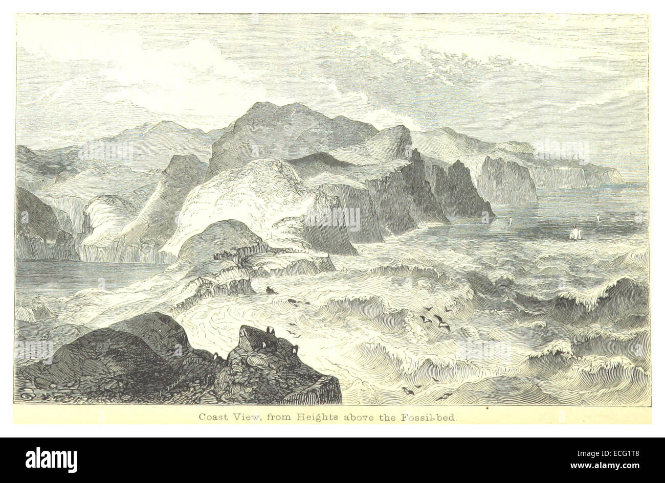 Victorian geology map hi-res stock photography and images - Alamy